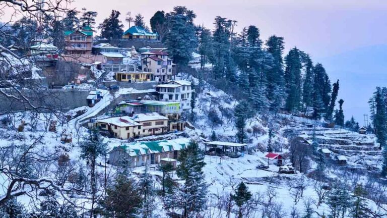 Best Time to See Snow in Shimla 2026 | Snowfall Guide