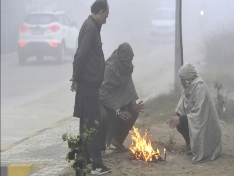 India Weather in December: Temperature & Guide