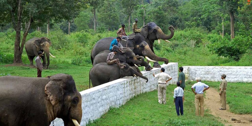 Coorg in January 2026: Weather, Attractions & Festivals