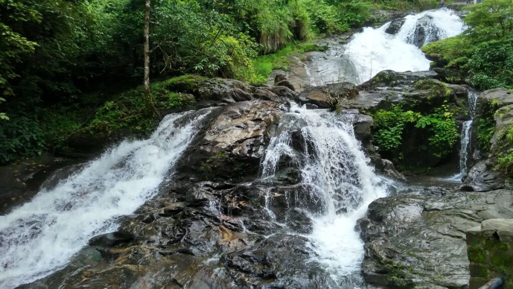 Coorg in January 2026: Weather, Attractions & Festivals
