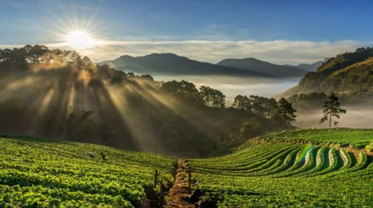 Coorg in December 2026: Weather, Top Sights & Travel Tips
