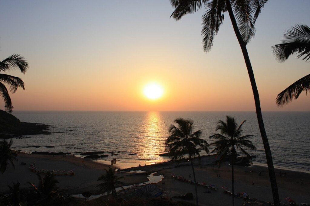 Goa in January 2026: Weather, Festivals & Top Travel Tips