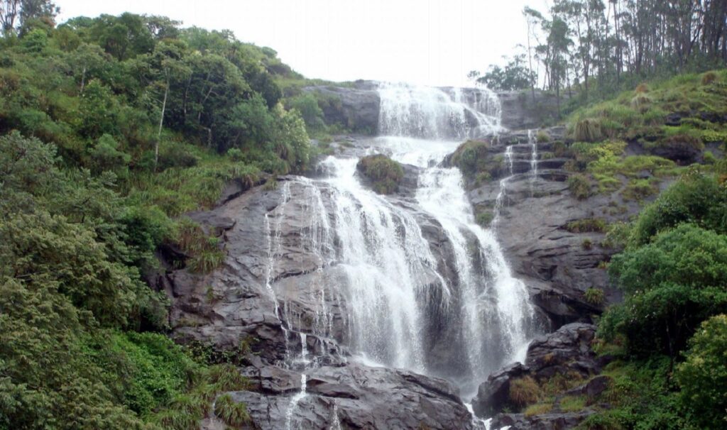 Munnar in January 2027: Weather, Attractions & Travel Tips