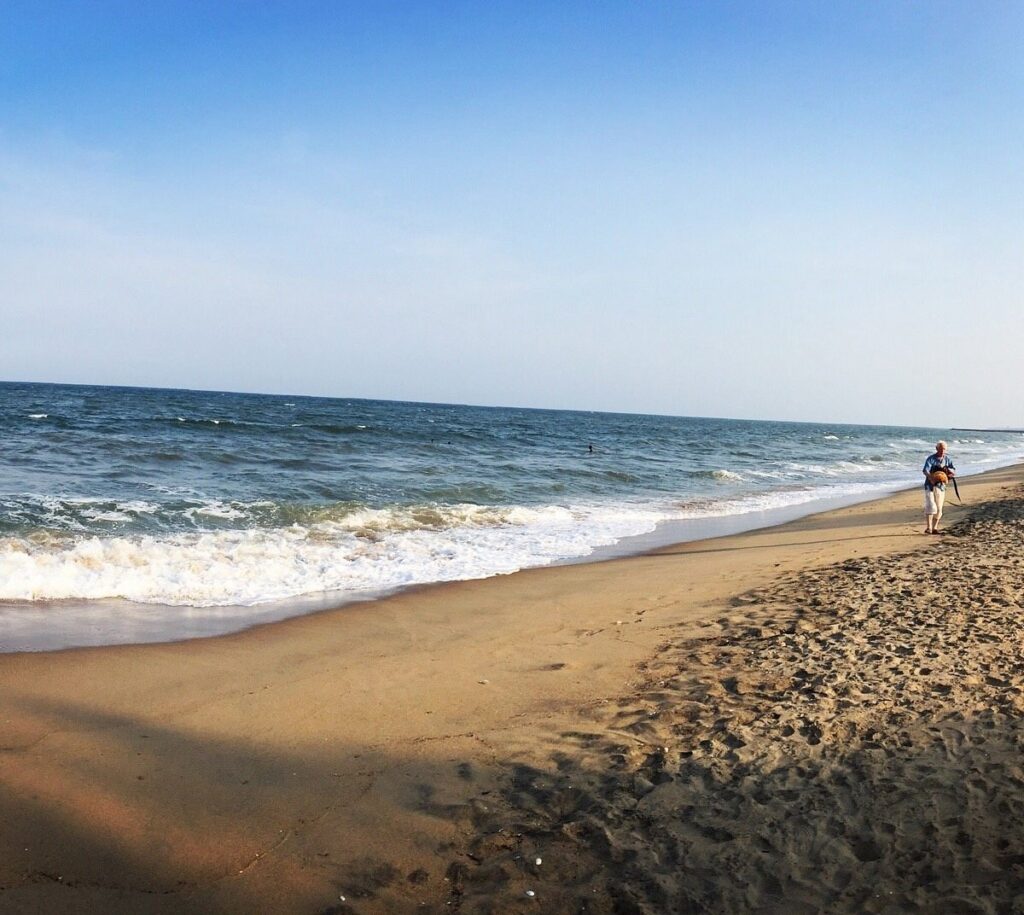 Pondicherry in December 2025: Weather, Top Places & Travel Tips