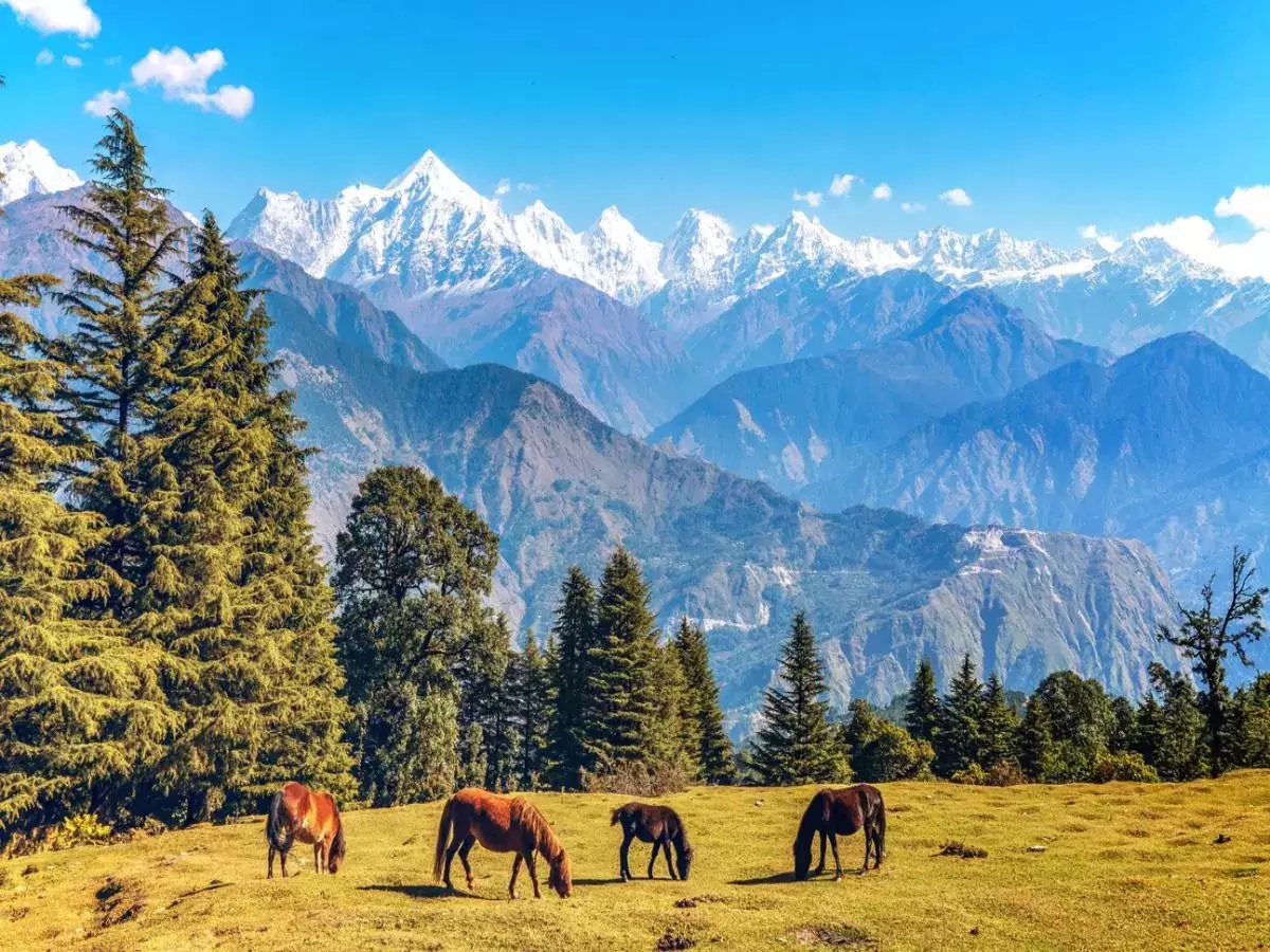 Uttarakhand in January 2026: Weather, Attractions & More