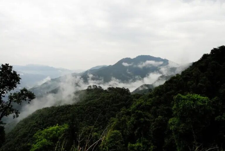 Mussoorie in May: Weather, Attractions, Travel Tips & More