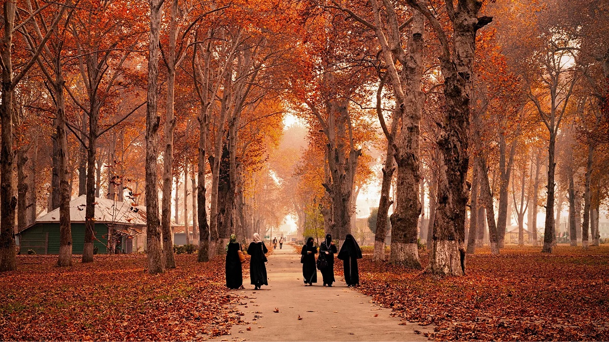 India Weather by Month - Best Places to Visit Year-Round