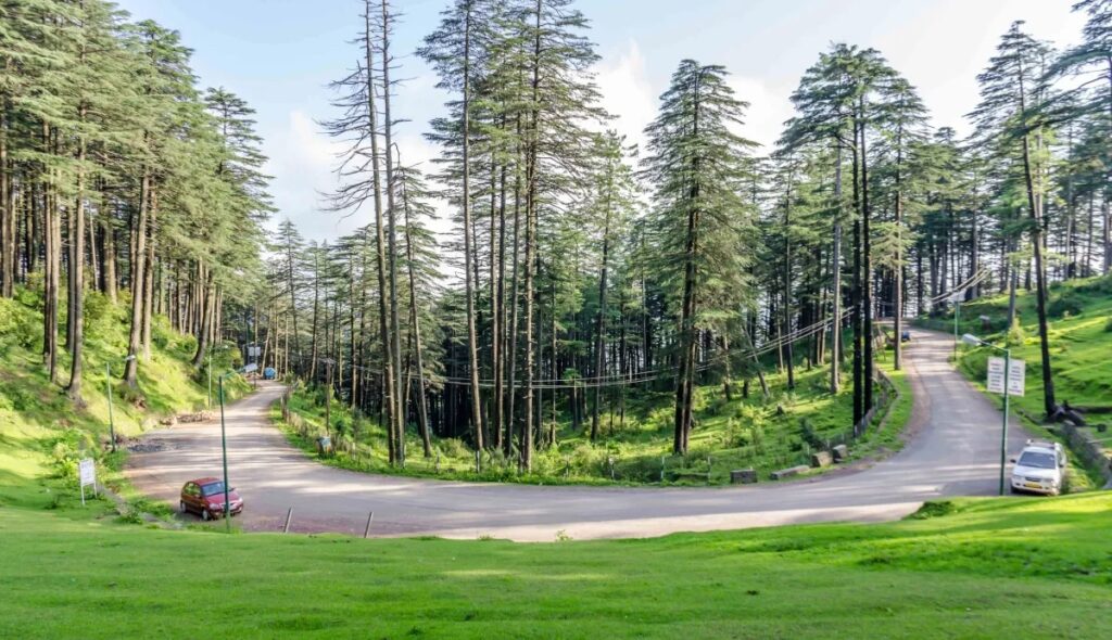 Exploring Patnitop: Complete Travel Guide from Katra