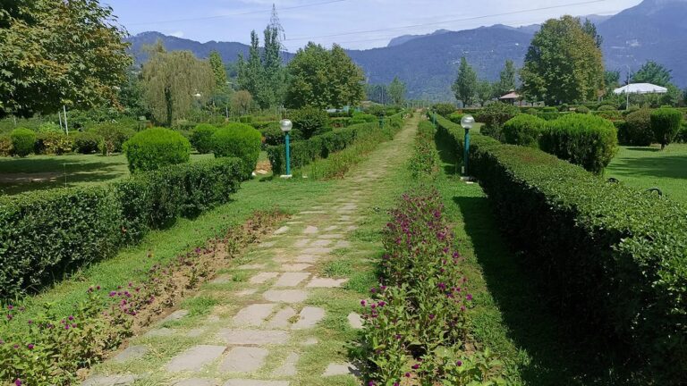 Top 10 Things to Do in Patnitop - Complete Travel Guide