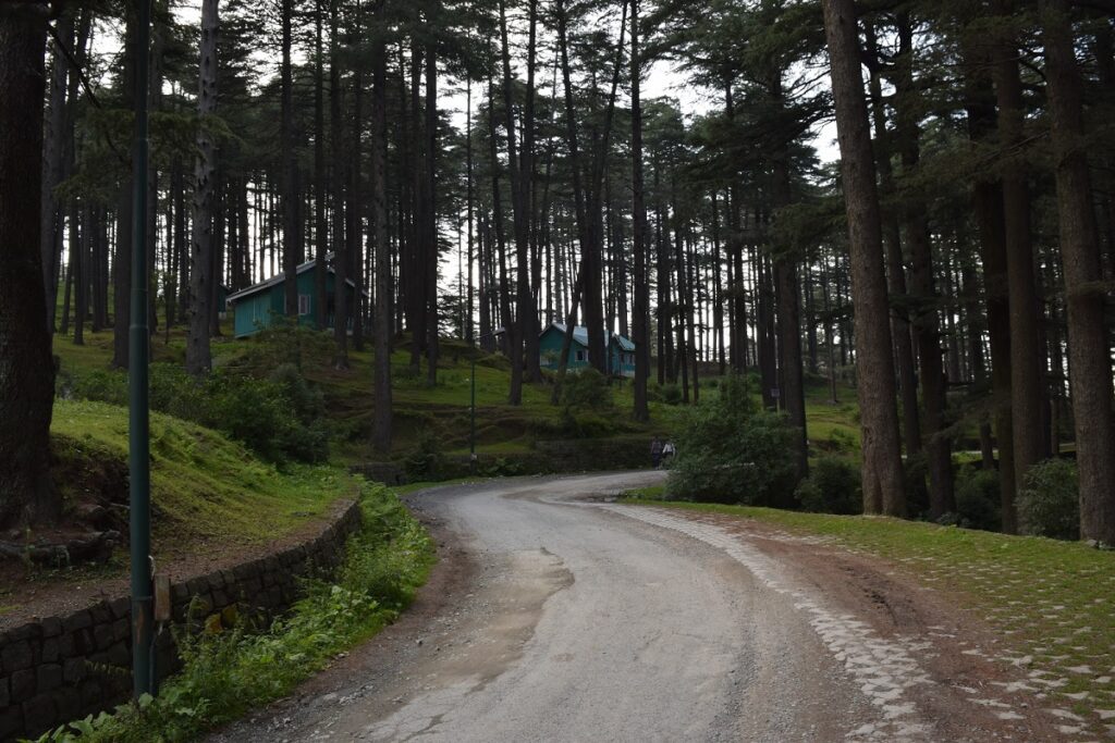 Top 10 Things to Do in Patnitop - Complete Travel Guide