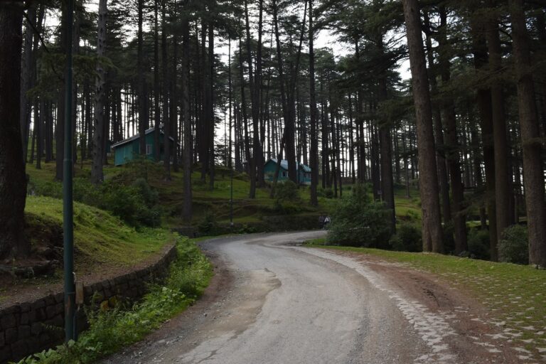 Top 10 Things to Do in Patnitop - Complete Travel Guide