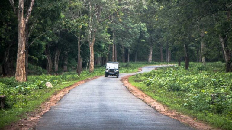 How to Reach Coorg from Bangalore | Travel by Road, Train, or Air