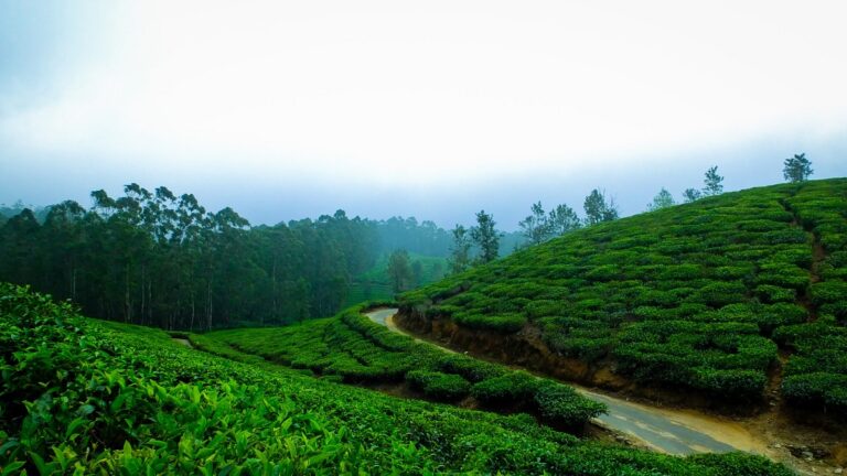 3-Day Coorg Itinerary: Plan the Perfect Short Getaway