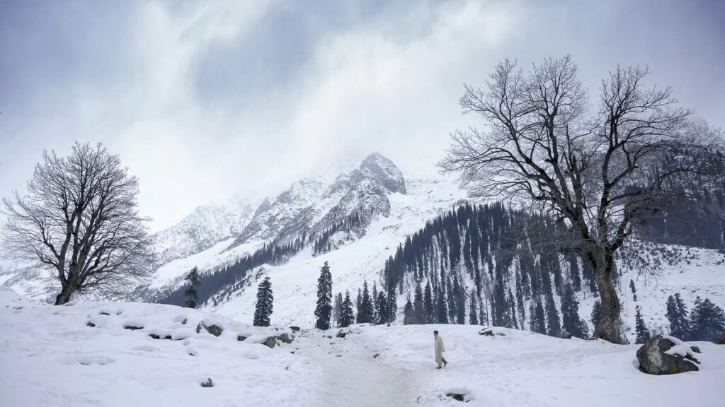 Weather Gulmarg in December 2026 – Snow, Temperature & Guide