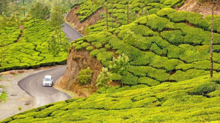 Explore guide Munnar to Alleppey: Routes, Distance & Travel Tips