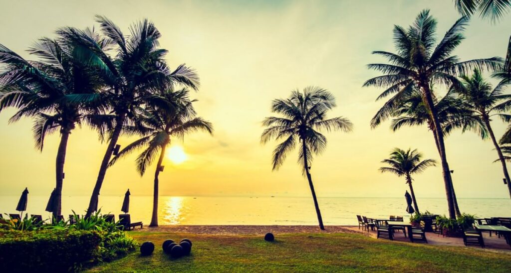 Essential Things to Know About South India Culture