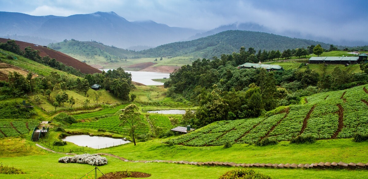 Ooty in December: Misty Hills, Tea Gardens & Winter Escape