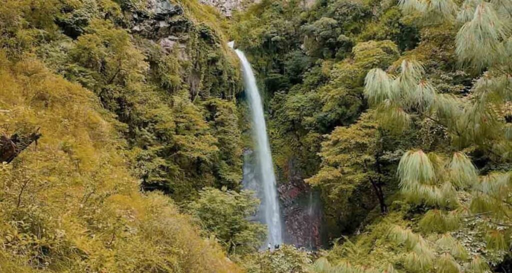 20 Best Things to Do in Tirthan Valley for an Unforgettable Trip