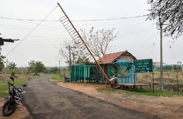 Best Zones in Tadoba for Tiger Sightings | Top Safari Spots