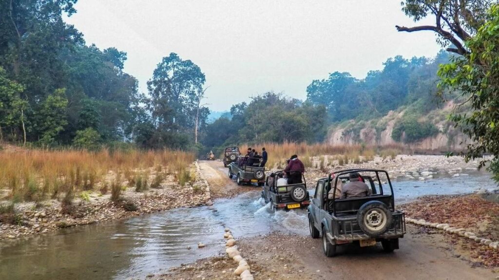 Explore Best Time to Visit Jim Corbett – Seasonal Guide for wildlife
