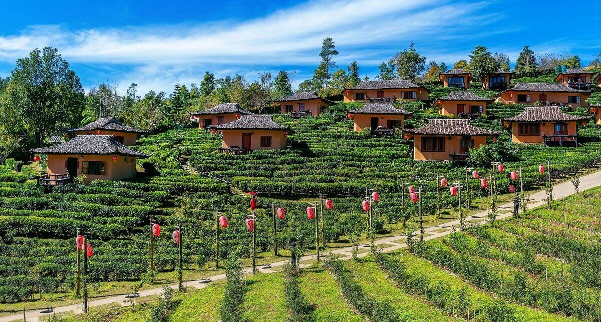Best Time to Visit Kausani, Uttarakhand For Best experience