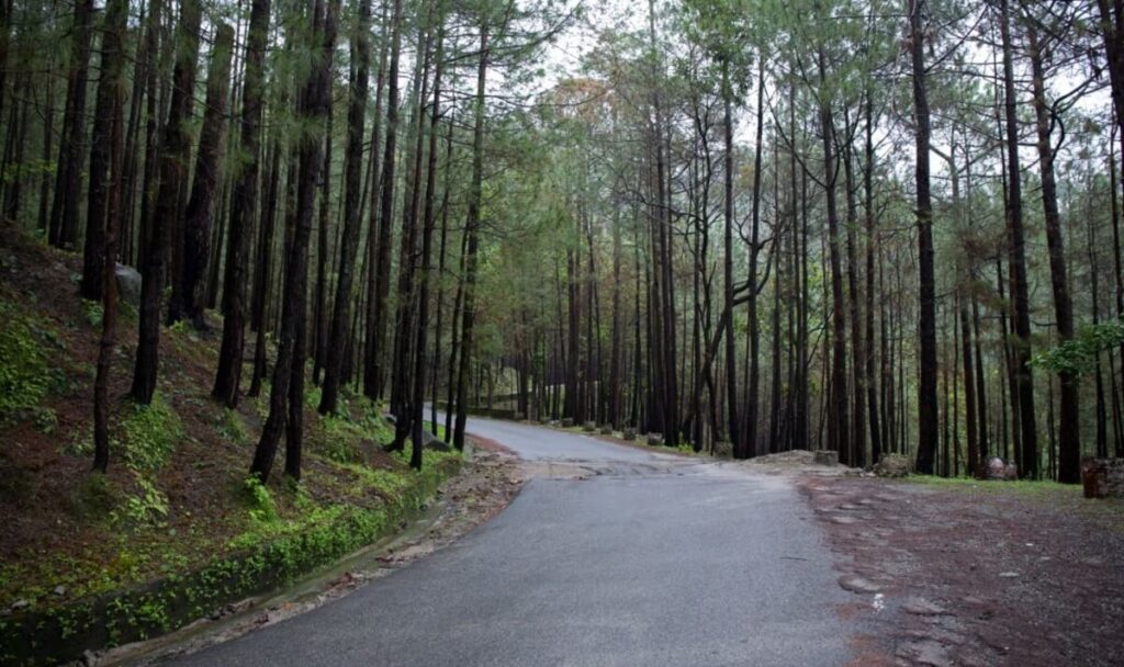 Best Time to Visit Lansdowne, Uttarakhand | Travel Guide