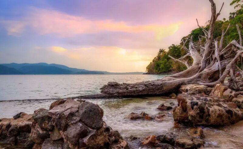 6 Best Spots for Sunset Views in Andaman – 2026 Expert Guide