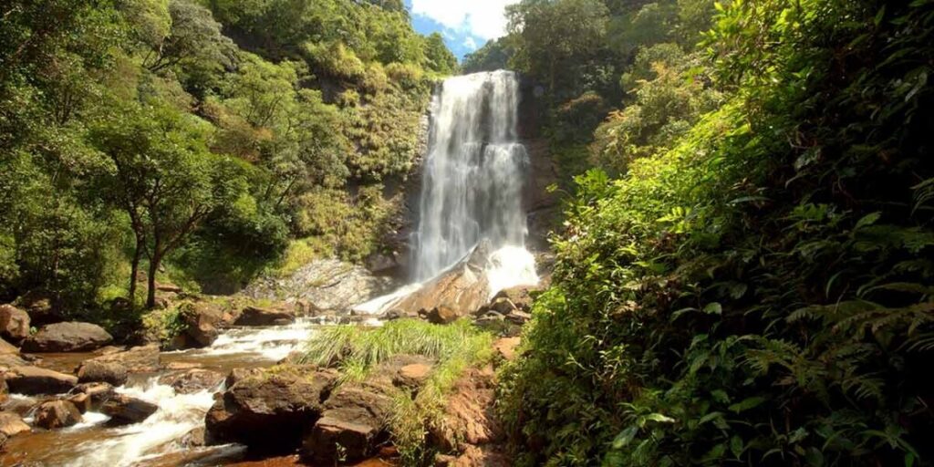 Top 5 Waterfalls in Chikmagalur | Ultimate Nature Guide