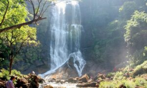 Top 5 Waterfalls in Chikmagalur | Ultimate Nature Guide