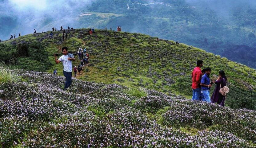 Best Time to Visit Munnar – Explore Tea Gardens & Hills