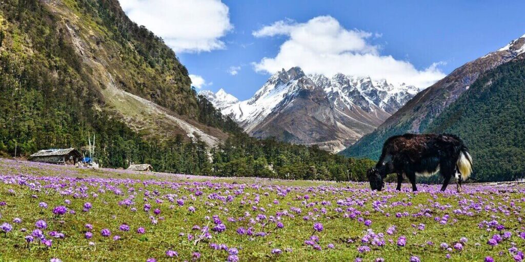 Best Places to Visit in Sikkim in December 2025 | Winter Guide