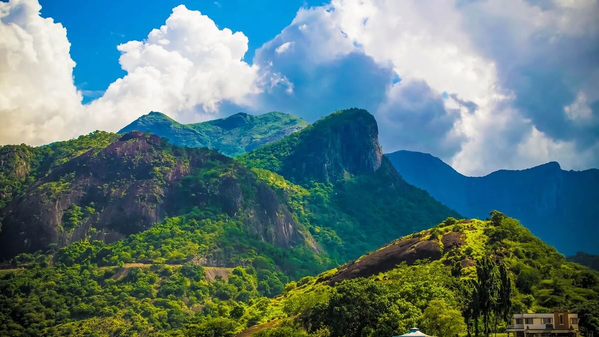 14 Best Hill Stations in Tamil Nadu | South India's Scenic Retreats