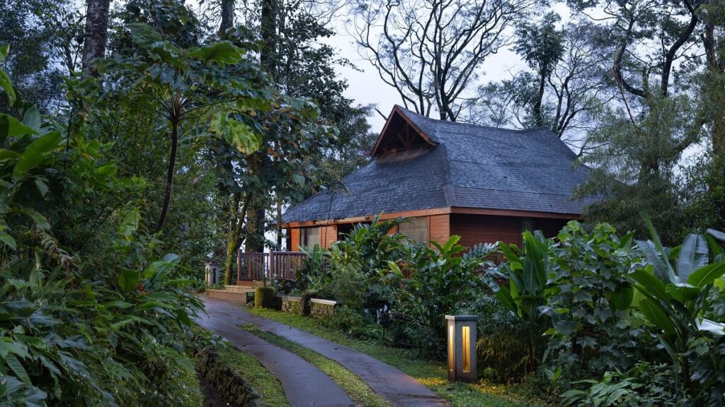 Top 7 Forest Resorts in India for a Peaceful Stay