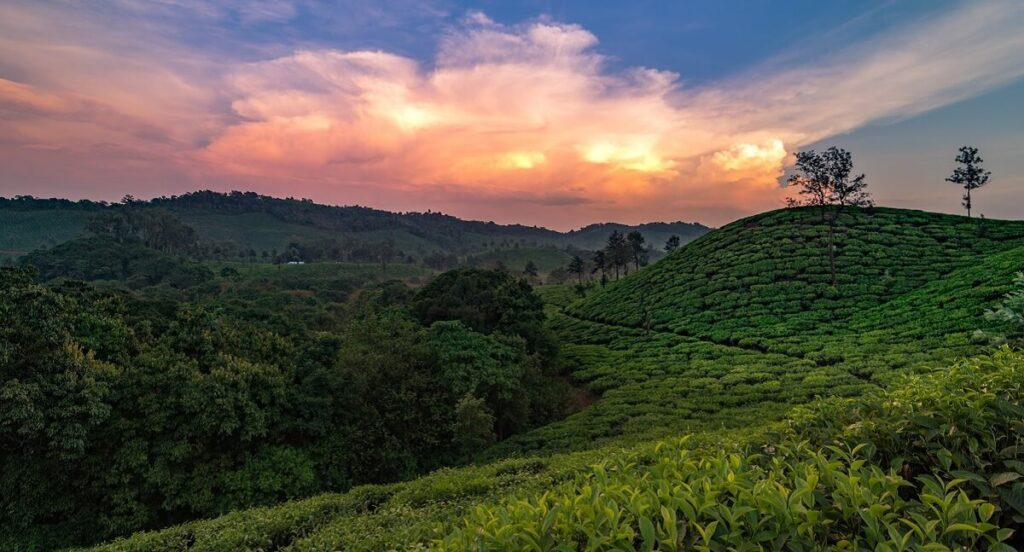 Monsoon Hill Stations Near Bangalore – Best Weekend Getaways