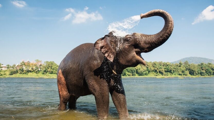 15 Best Places to Visit in Athirapally – Explore Kerala’s Natural
