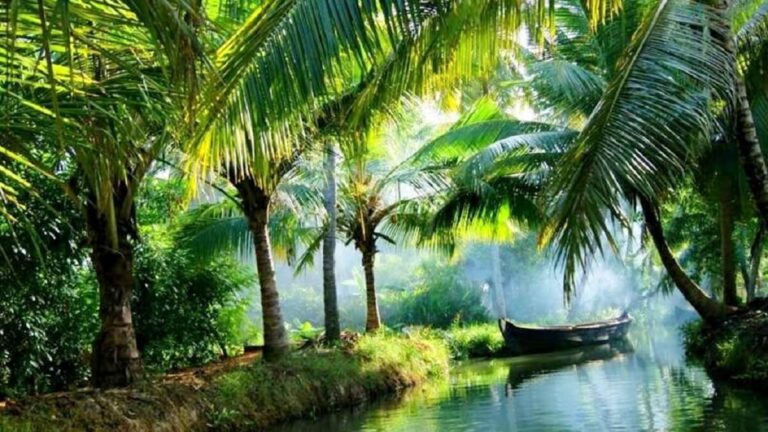 Explore South India in July 2026: Weather, Places & Travel Guide