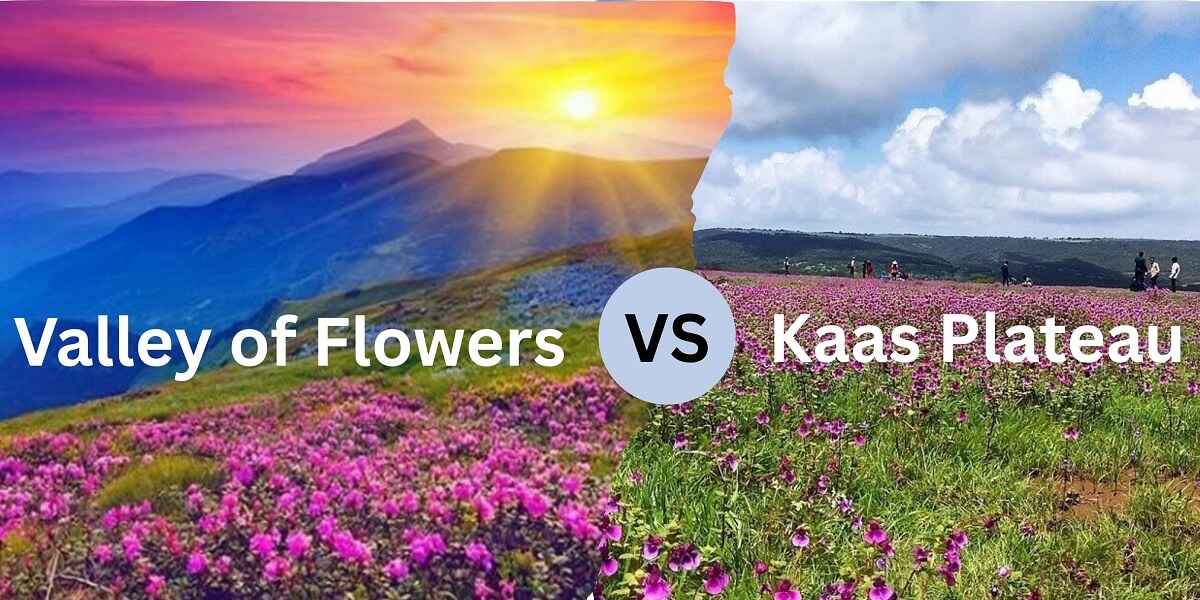 Valley of Flowers vs Kaas Plateau – Best August Bloom?