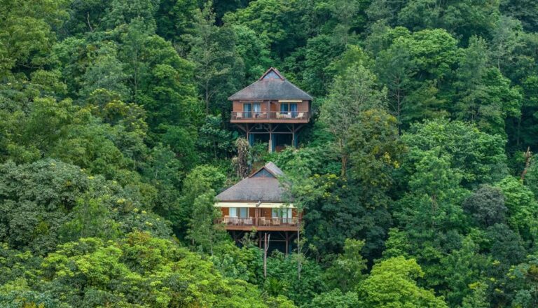 Top 7 Forest Resorts in India for a Peaceful Stay