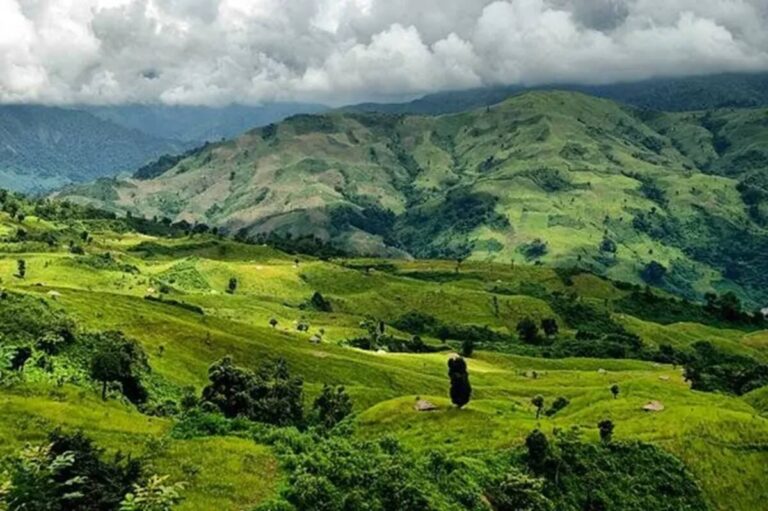 Ziro Music Festival 2025: Dates, Tickets, Lineup & Travel Tips