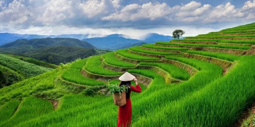Explore Unique Assam's Culture & Northeast Life