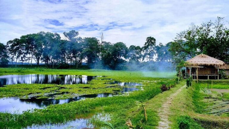 How to Reach Majuli Island from Jorhat – Travel Guide