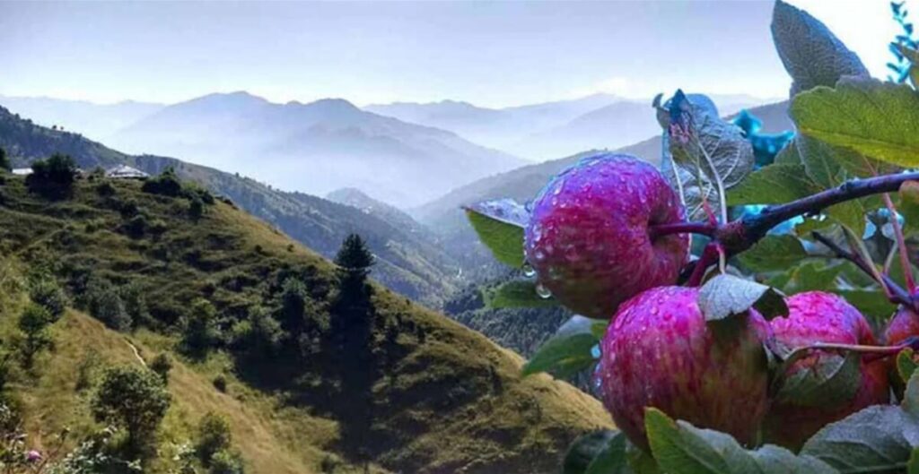 Top Places to Visit in Fagu, Himachal Pradesh – Travel Guide